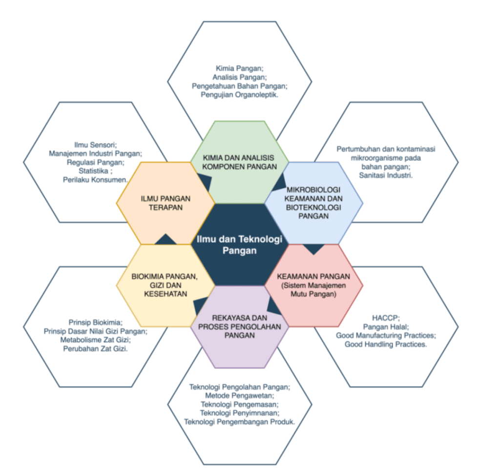 Curriculum – Food Science and Technology